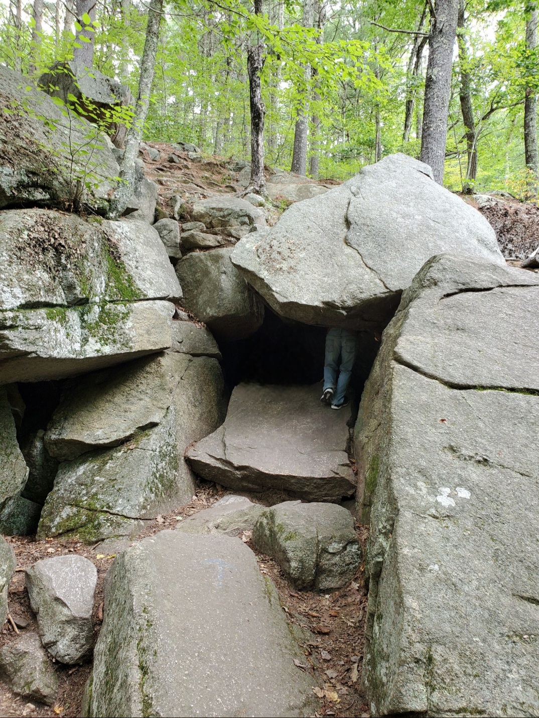 Explore Purgatory Chasm: A Unique Park in Central Massachusetts ...